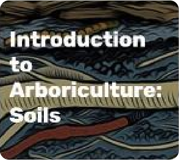 Introduction to Arboriculture - Soils | ISA Prod